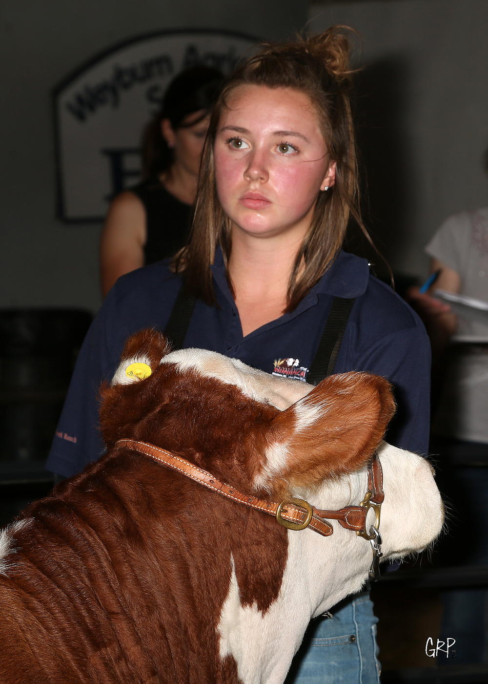 Bonanza 2019 – Hirsche Herefords