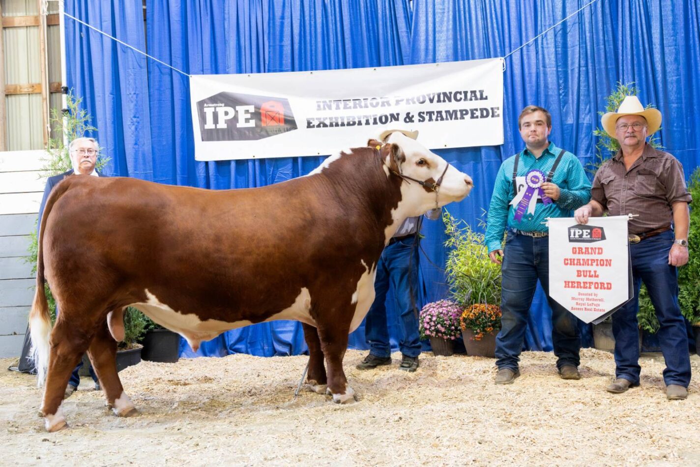2024 Sale Offering: Bull Calves – Hirsche Herefords