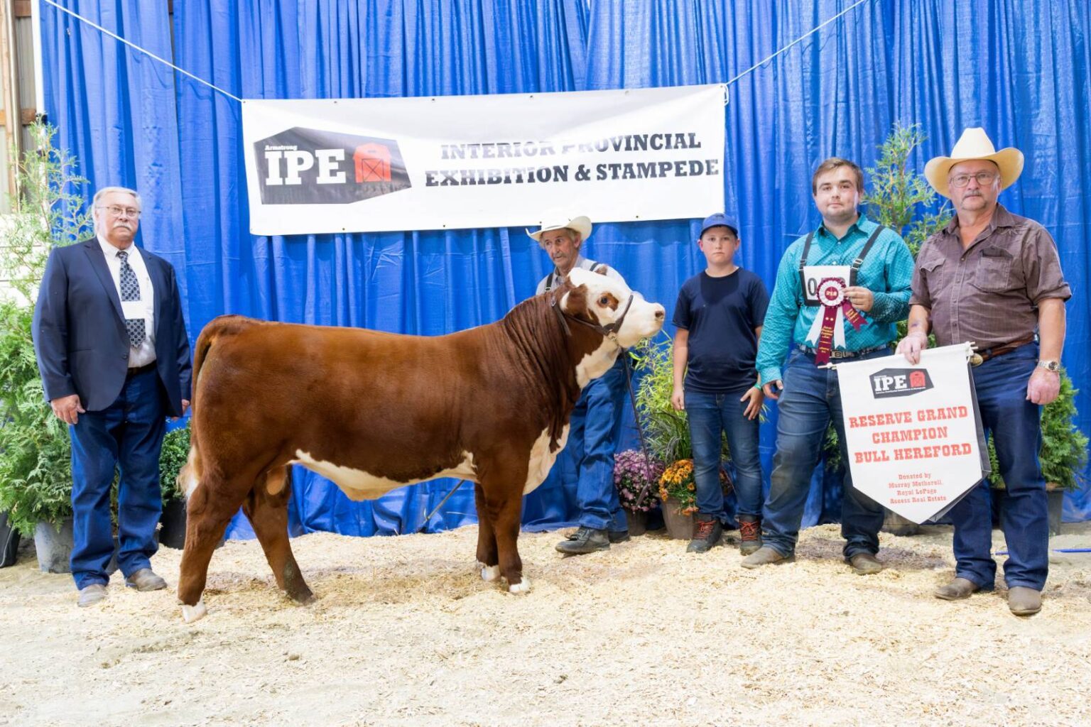 2024 Sale Offering: Bull Calves – Hirsche Herefords